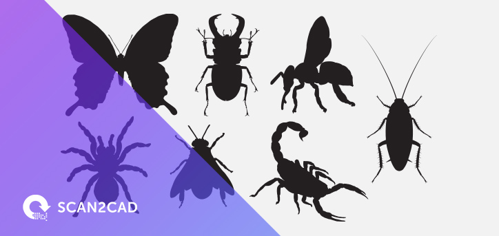 Insects | Free DXF Files | Scan2CAD